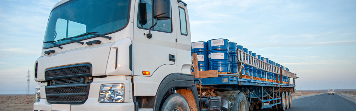 SWIFTWAYS GLOBAL LOGISTICS PVT LTD